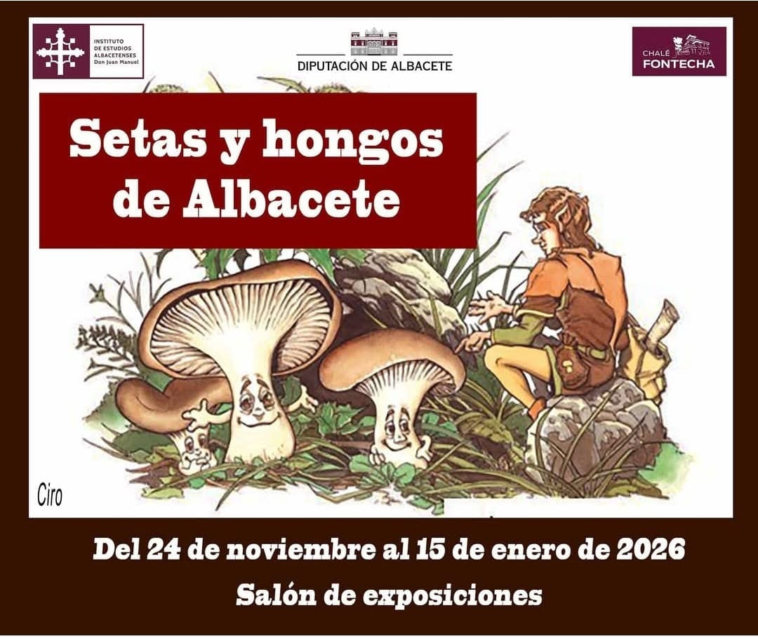 Exposición Setas y Hongos de Albacete - Sivoyalbacete | Eventos en Albacete
